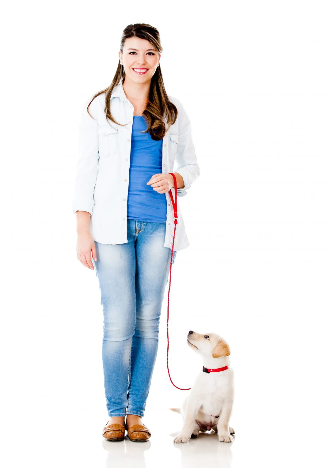 Why You Need A Professional Dog Walker? - Love and Kisses Pet Sitting, NC