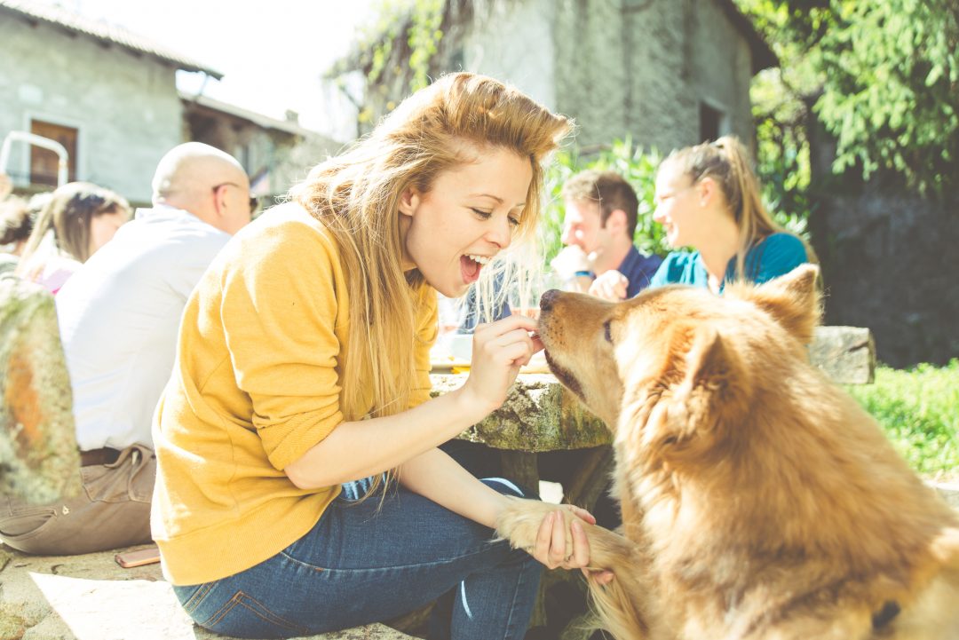 Summer Barbecue Safety For You And Your Dogs - Love and Kisses Pet ...